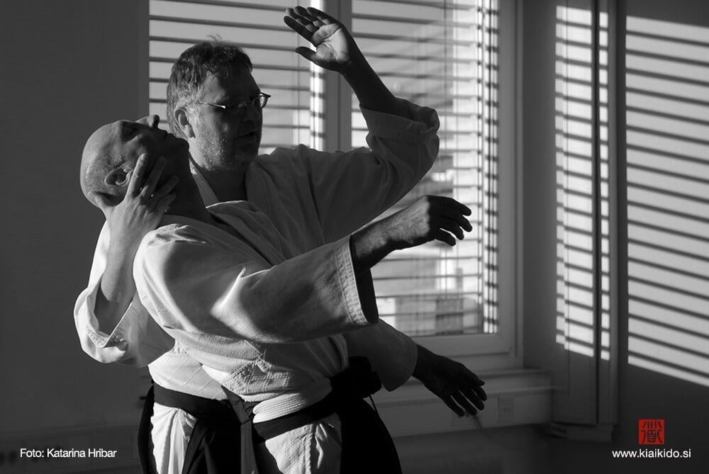 Shinshin toitsu aikido | Inštitut 108